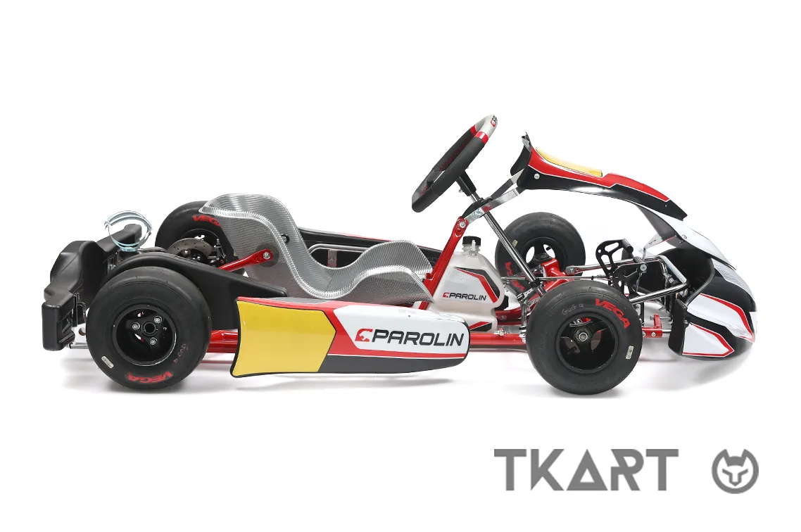 Complete analysis of the Pioneer: the new MINI chassis by Parolin (FIA ...
