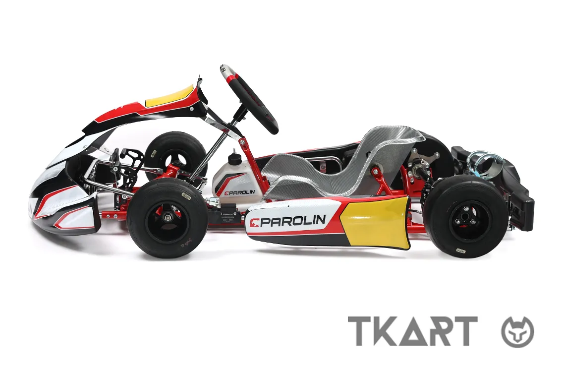 Complete analysis of the Pioneer: the new MINI chassis by Parolin (FIA ...