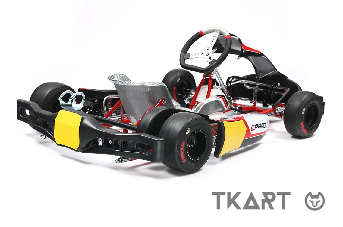 Complete analysis of the Pioneer: the new MINI chassis by Parolin (FIA ...
